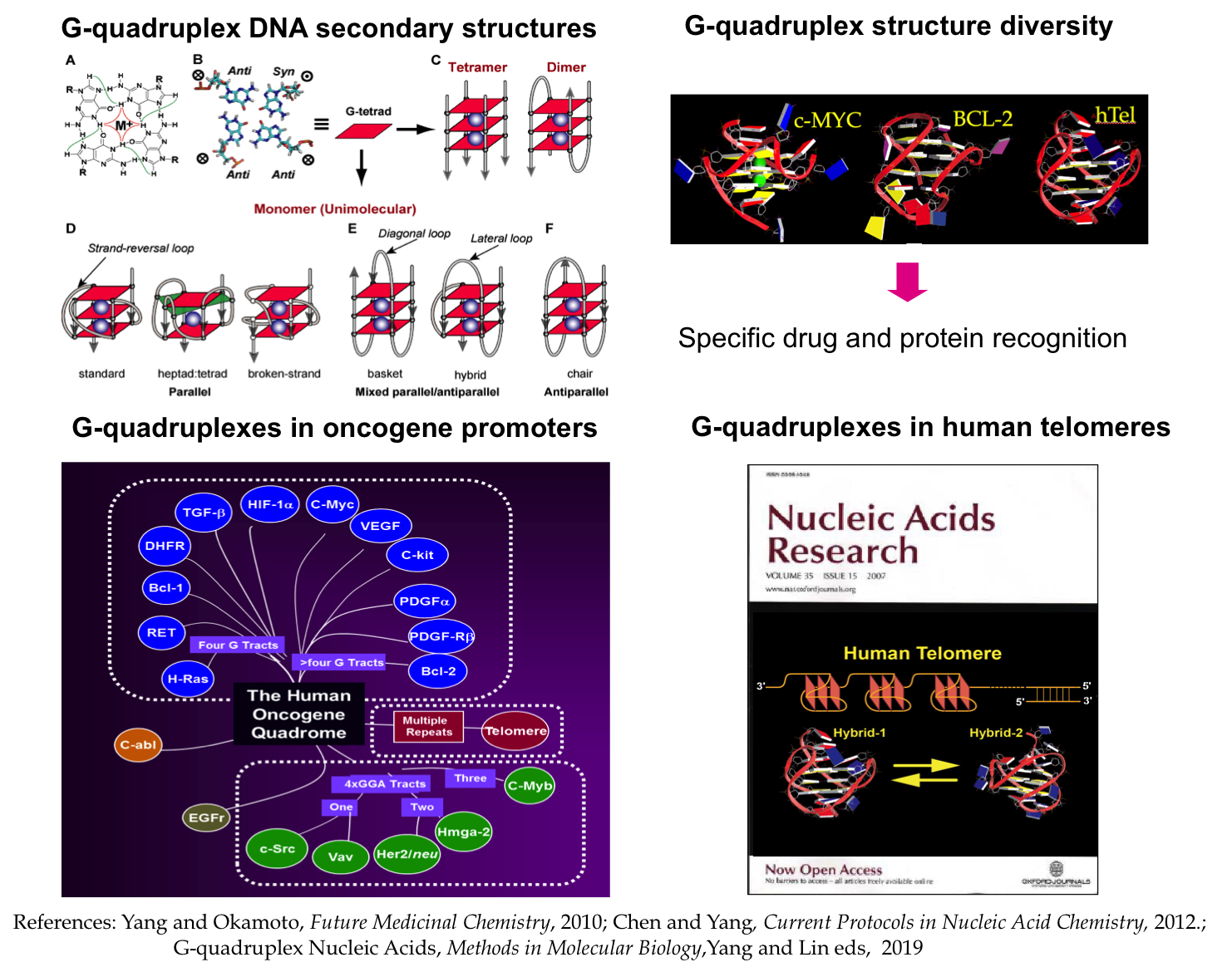 Research|Yang Laboratory Medicinal Chemistry and Molecular Pharmacology